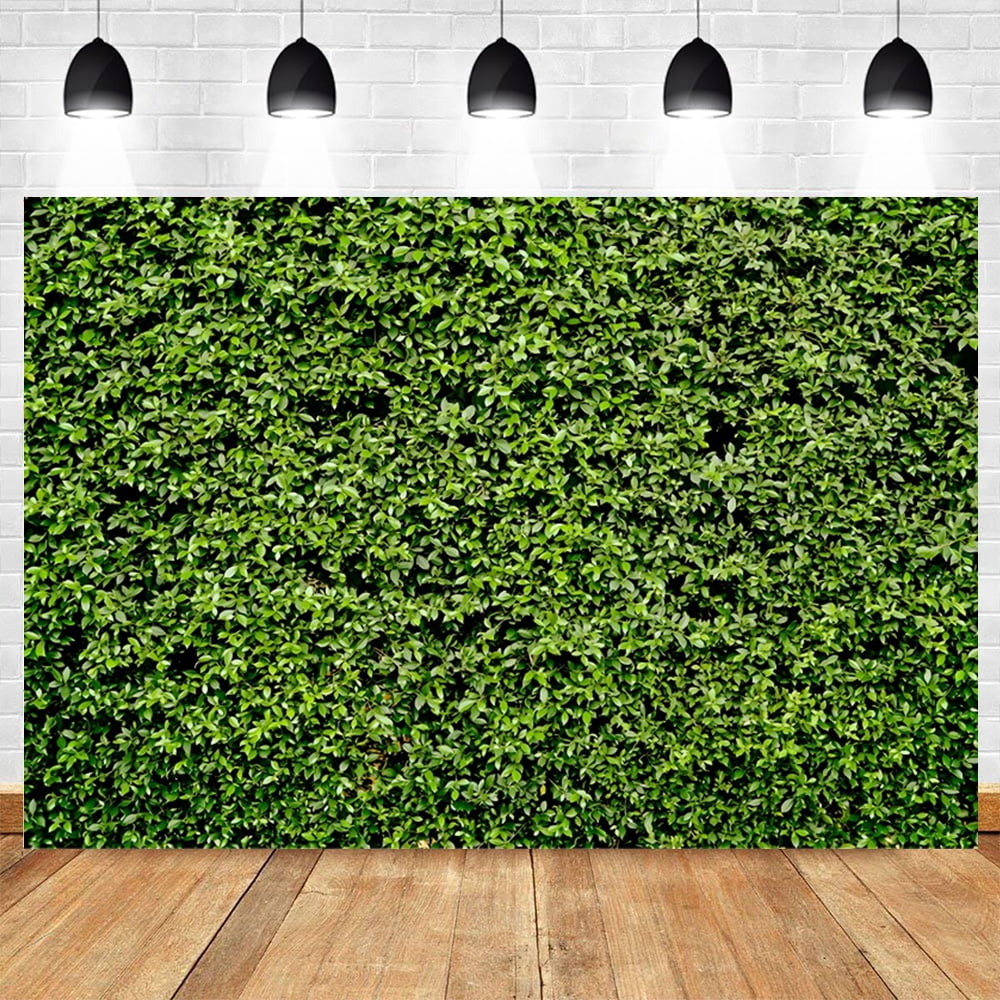 Green Leaves Wall Photography Backdrop Tropical Jungle Natural Leaf ...