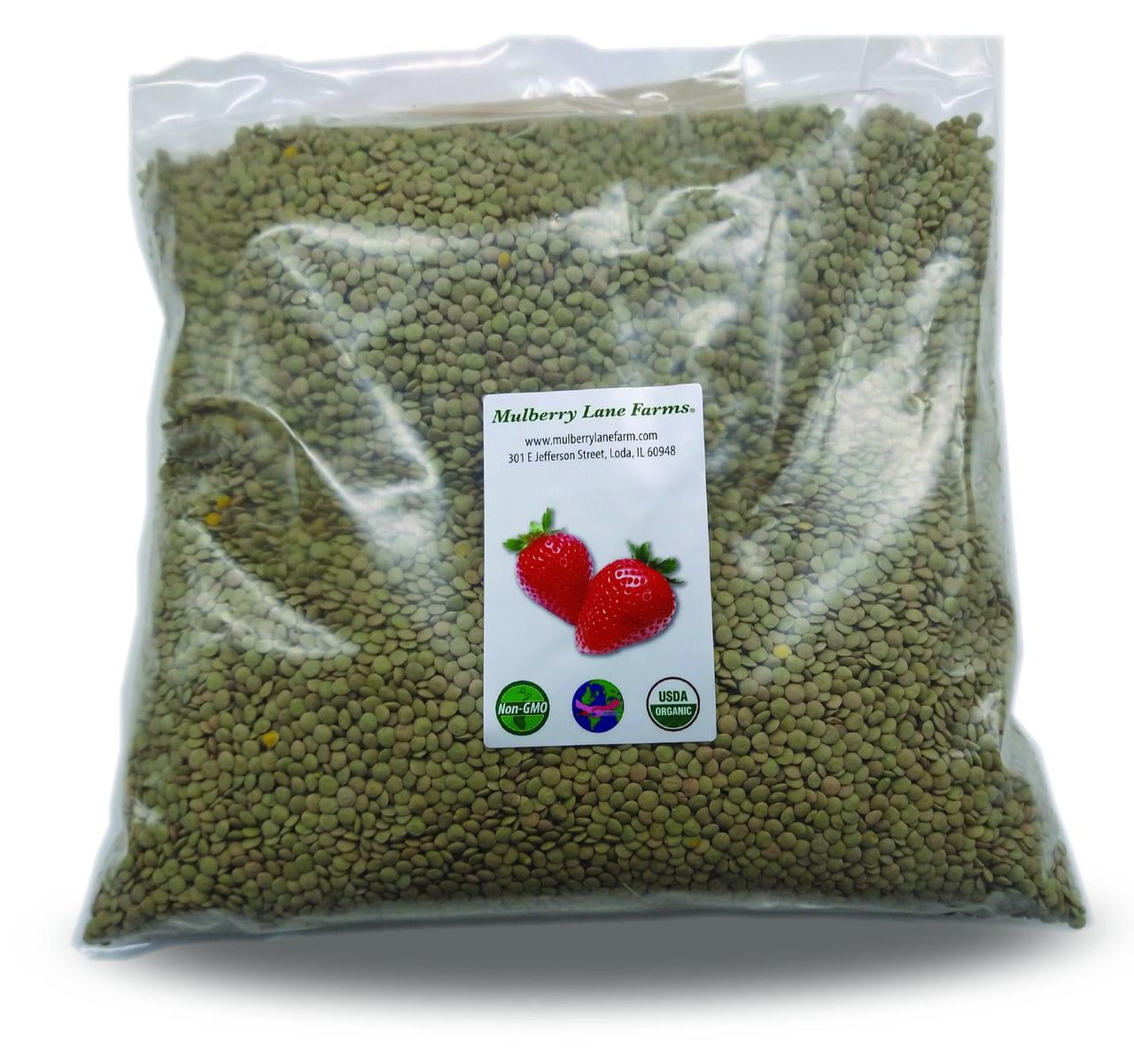 Green Lentils 10 lbs (ten pounds) USDA Certified Organic, Non-GMO, Bulk ...