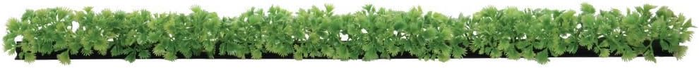 Green Luxury Parsley Divider with Black Base - 29 1/4"L x 2 1/8"H ...