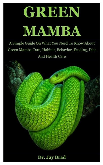 Green Mamba: A Simple Guide On What You Need To Know About Green Mamba ...