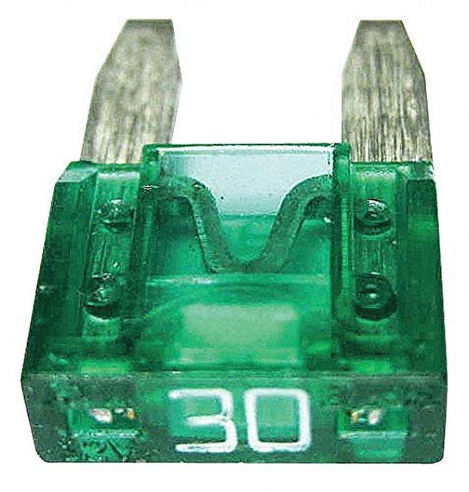 Green Mini Auto Fuse, 30A, 2-Pk. - Walmart.com