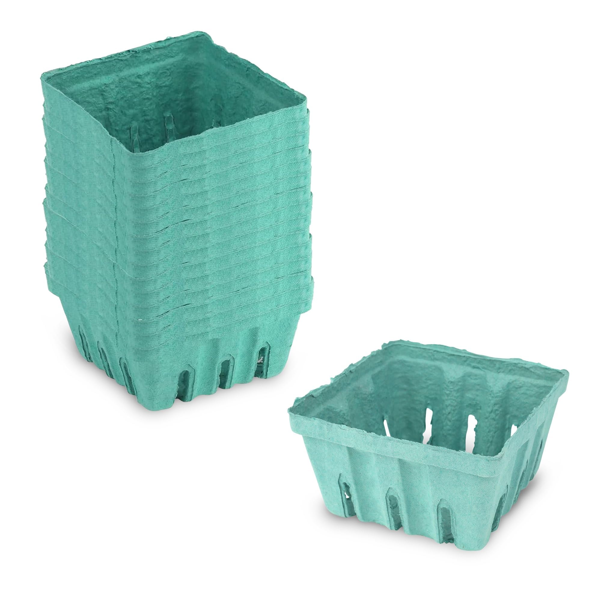 Green Molded Pulp Berry Basket 1 Pint, Ventilated Design for Fresh ...