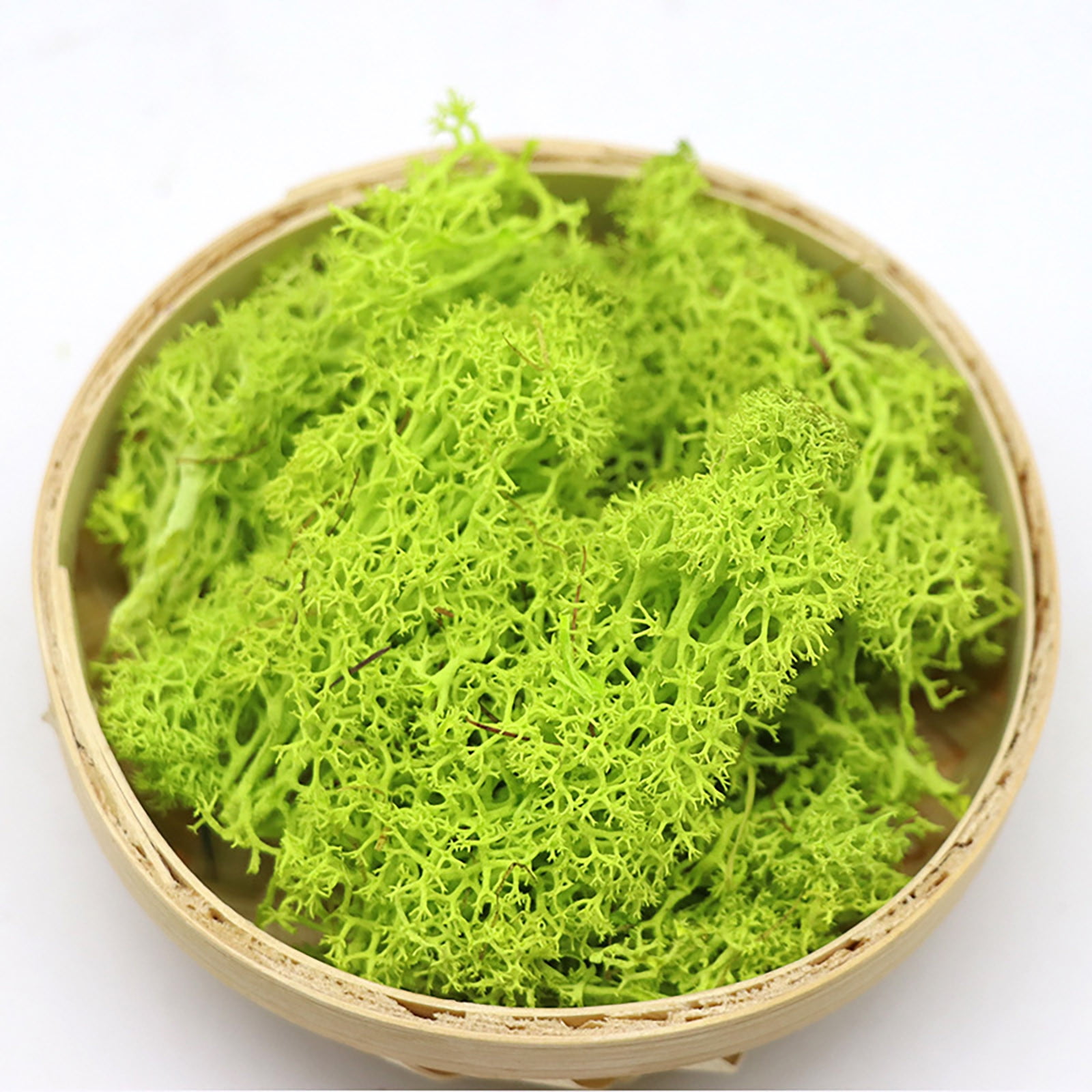 Green Moss for Crafts, Artificial Moss Potted Plants, Decorative Moss ...