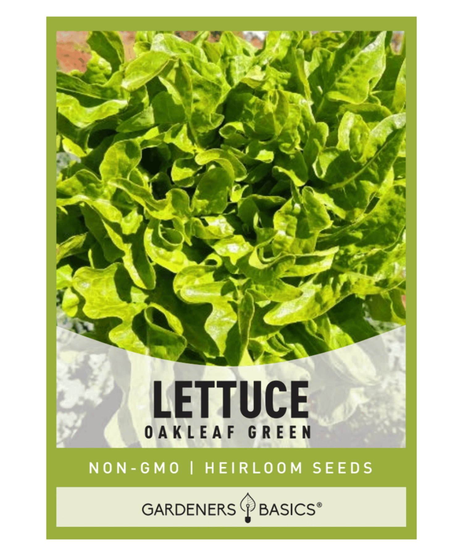 Green Oakleaf Lettuce Seeds - Walmart.com