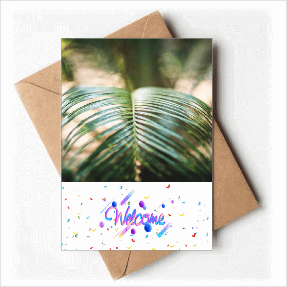 Green Picture Nature Welcome Back Greeting Cards Envelopes Blank ...