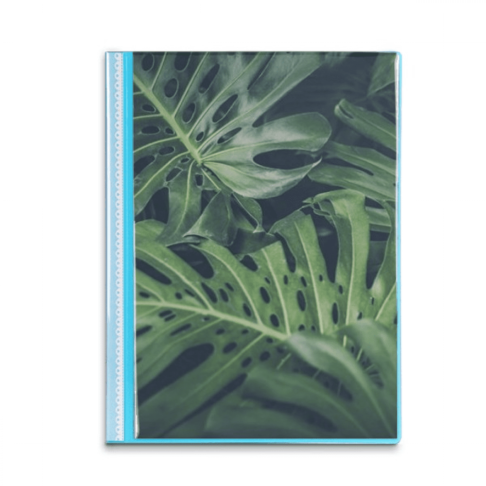 Green Picture Night Nature Book Sheet Protectors Portfolio Binder ...