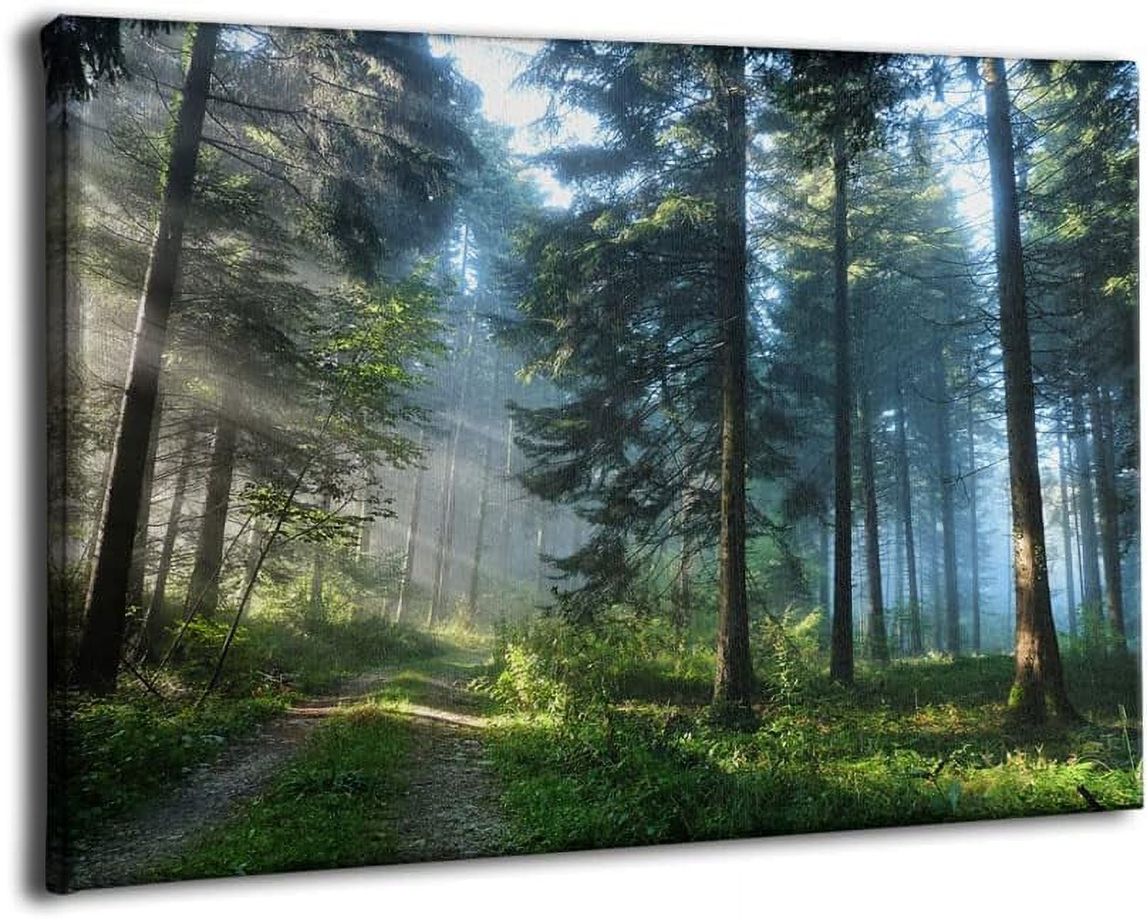 Green Pine Tree Canvas Wall Art 16x24 Nature Pictures Canvas Artwork ...