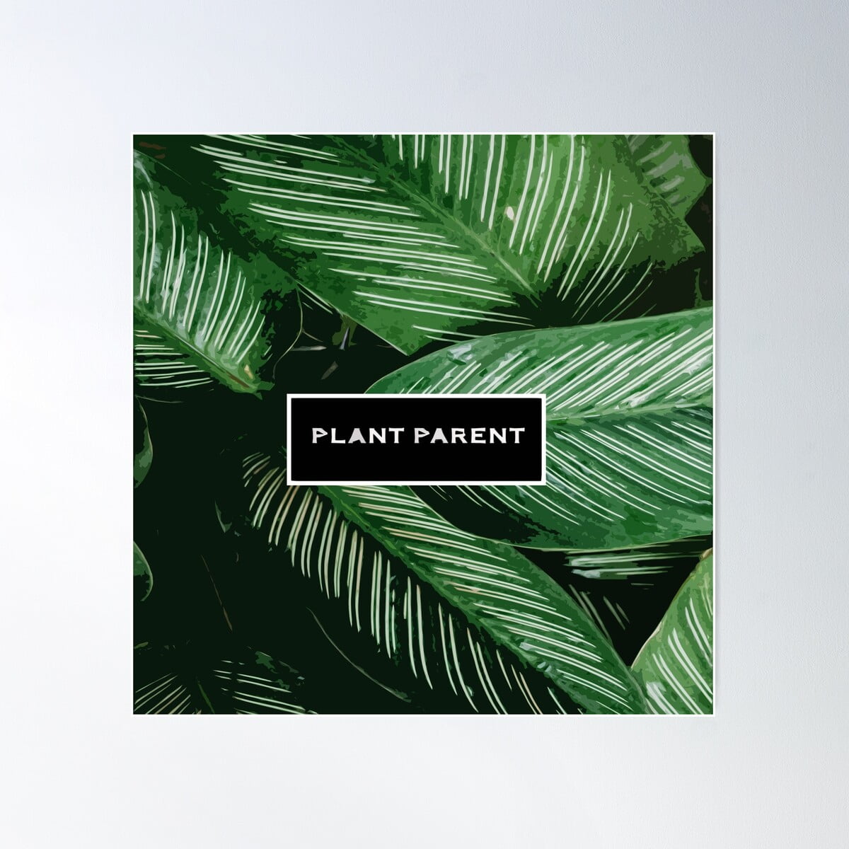 Green Plant Lovers Of Nature Poster Wall Art, Modern Wall Decor For Living Room Bedroom, 30x30 ...