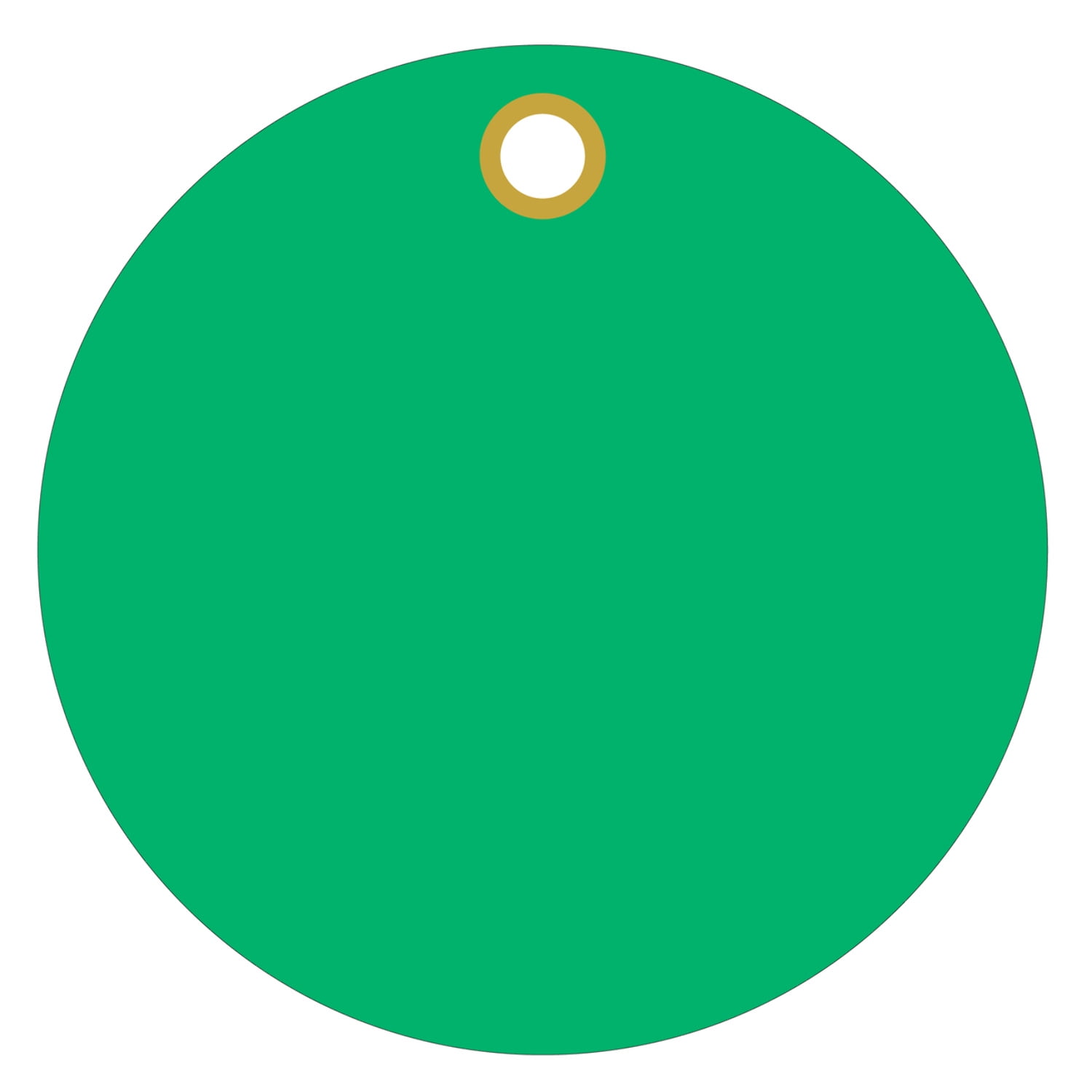 Green Plastic 3 inch Circle Tags metal eyelet 100/order (15pt plastic ...