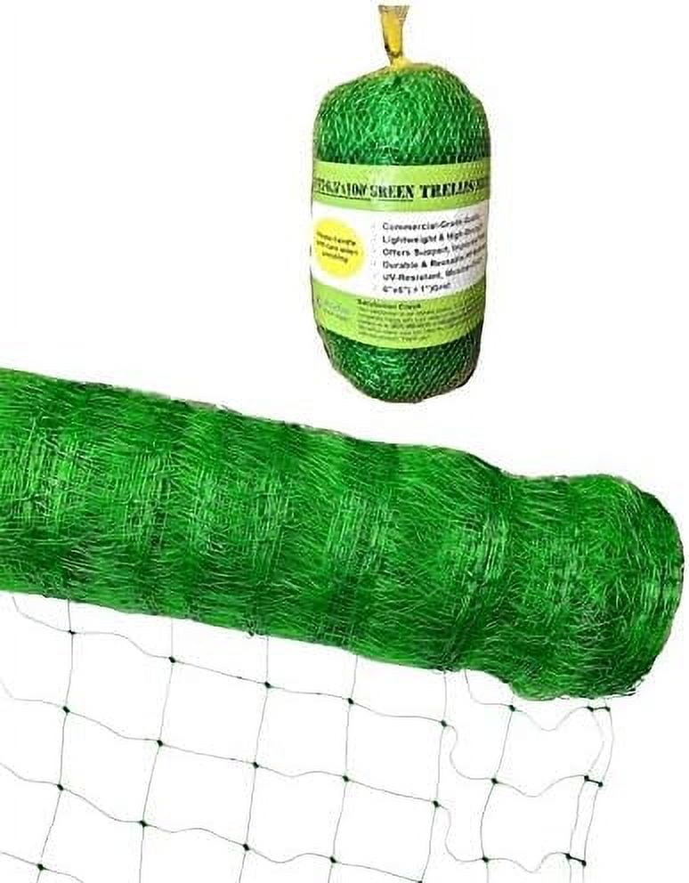 Green Plastic Trellis Netting for Climbing Plants Vegetables ...