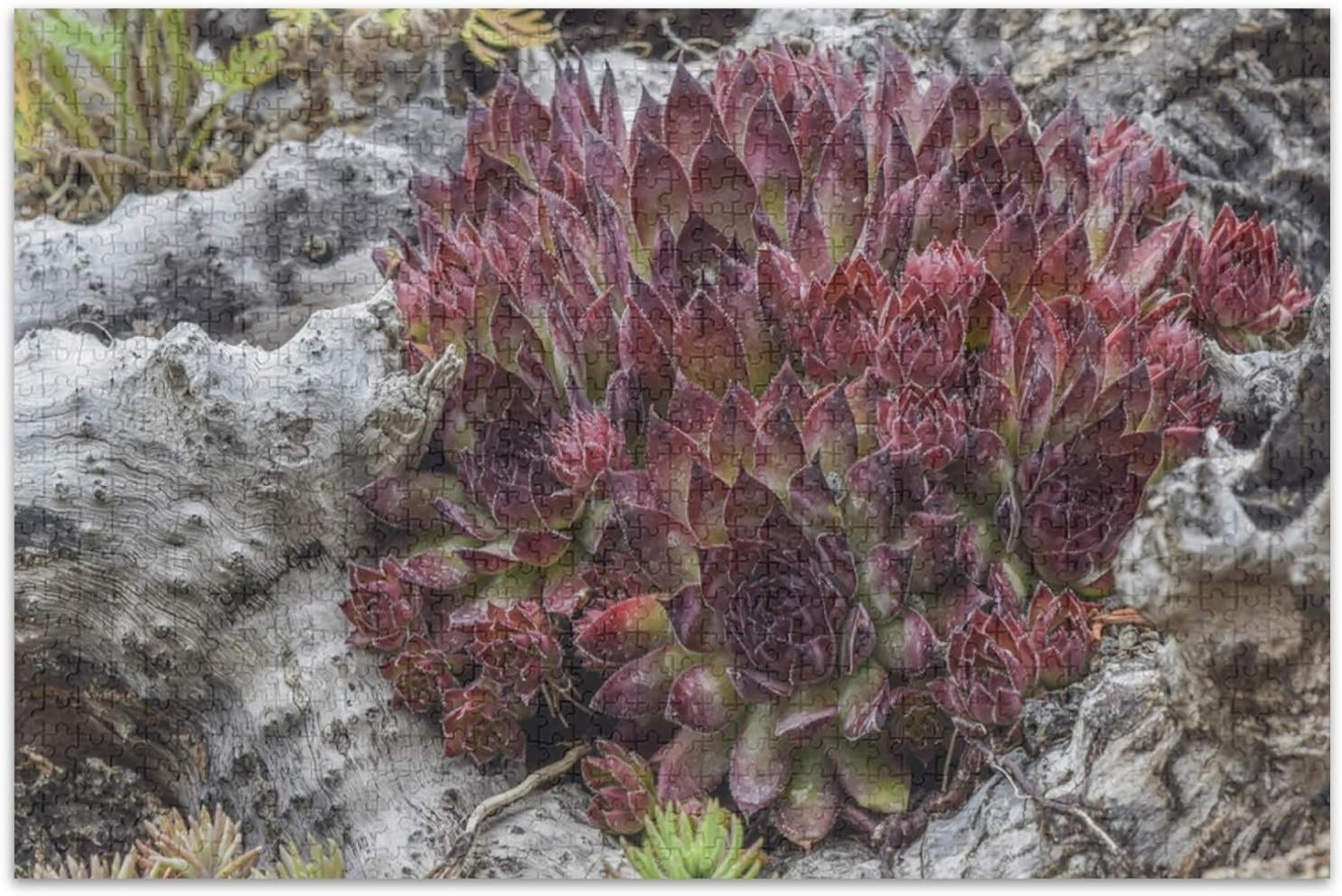 Green Pointed Ground Cover Jigsaw Puzzle 500 Pieces Wooden Jigsaw ...