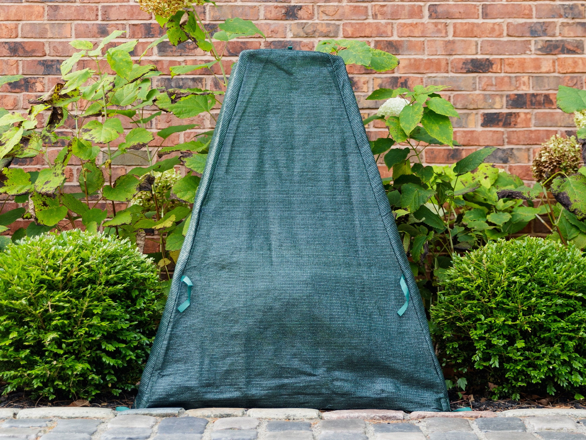 Green Polyethylene Shrub Cover 36 In. X 36 In. X 40 In. - Walmart.com