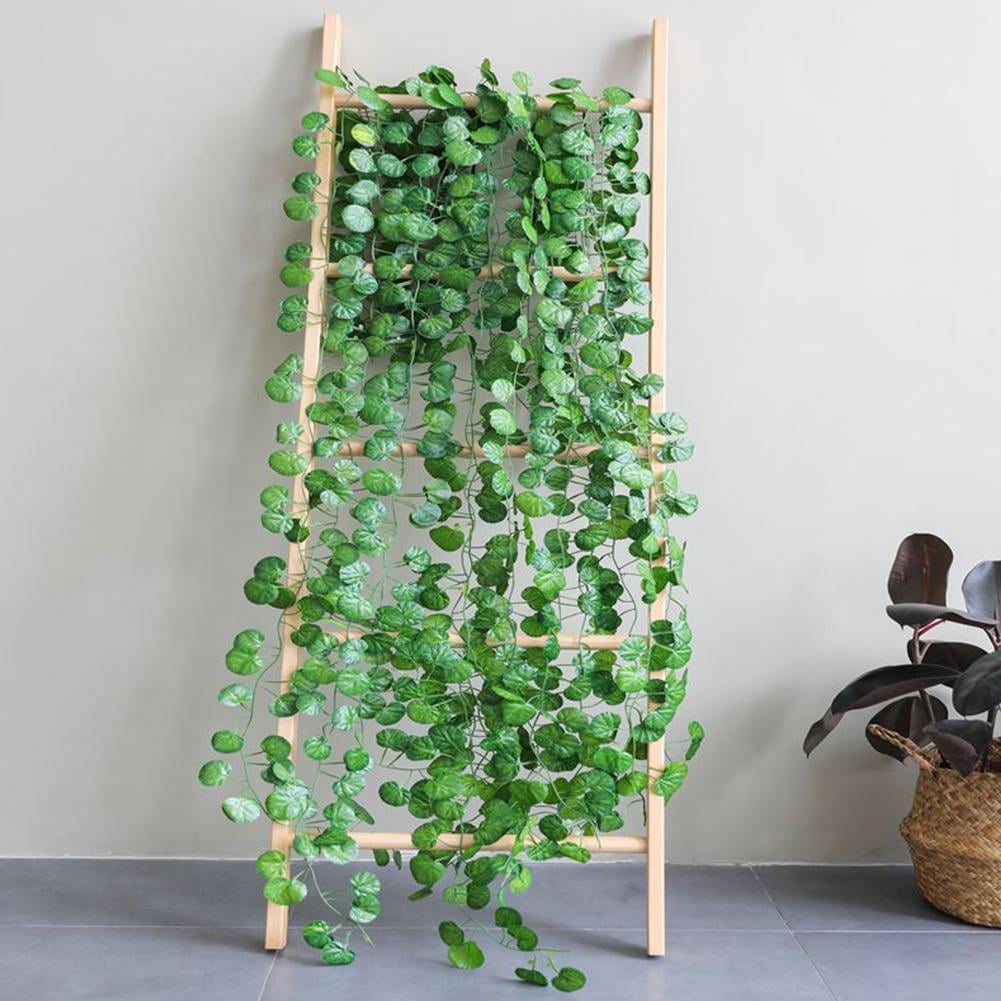 Green Radish Green Leaf Creeper Greenhouse Wall-Mounted Gardening ...