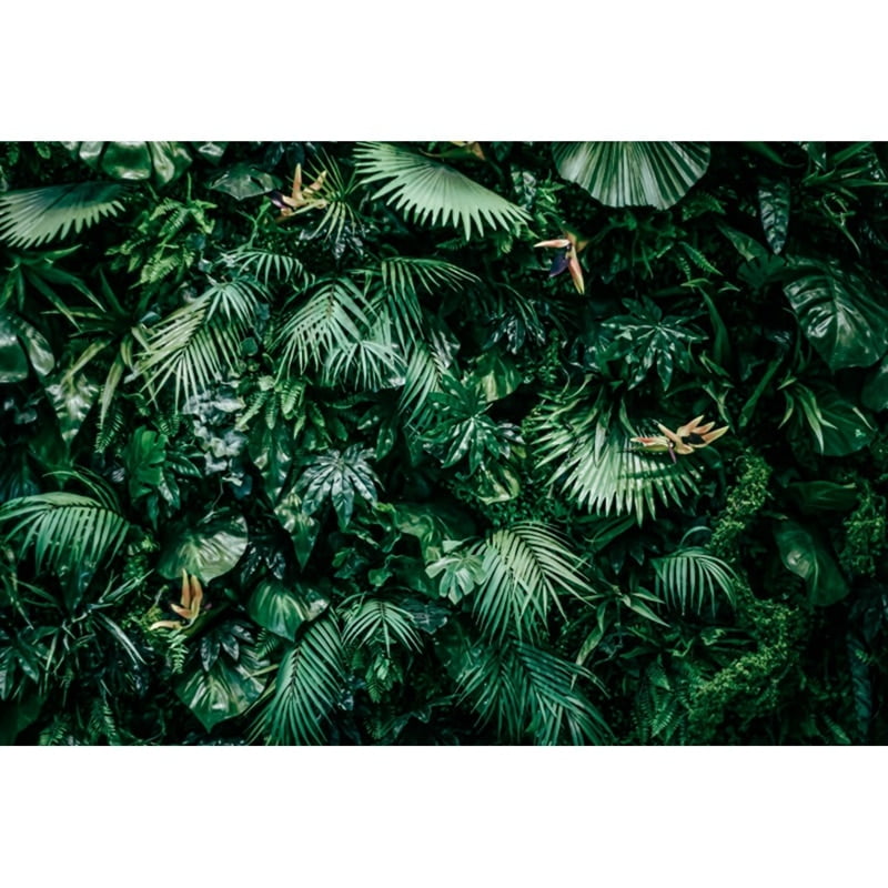 Green Screen Leaves Wedding Photocall Backdrop Tropical Jungle Floral ...