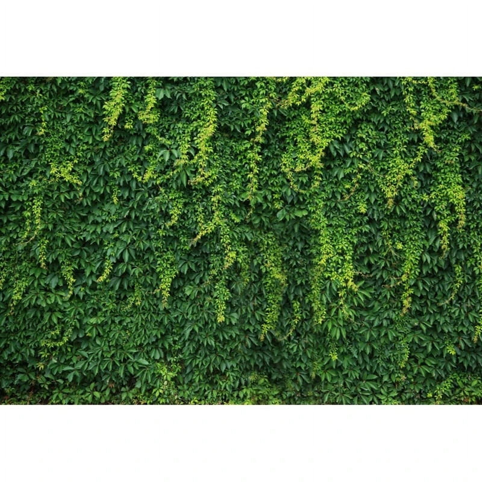 Green Screen Leaves Wedding Photocall Backdrop Tropical Jungle Floral ...