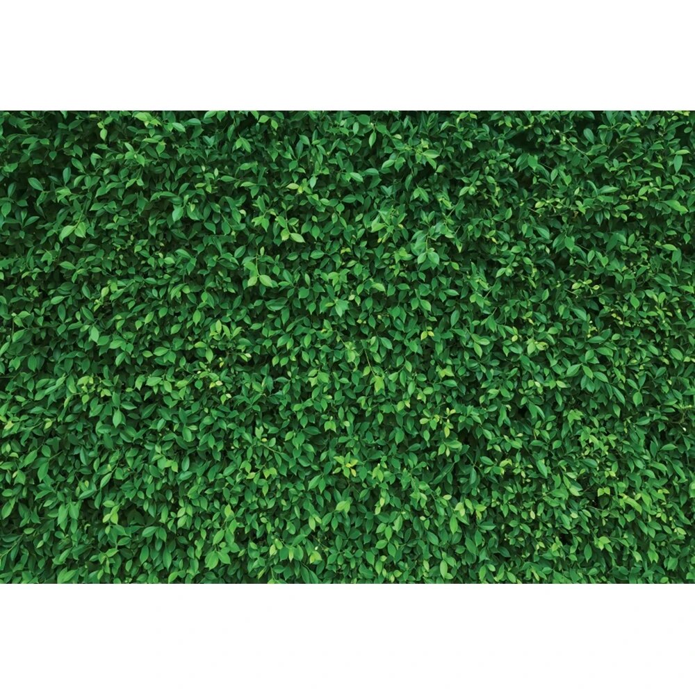 Green Screen Leaves Wedding Photocall Backdrop Tropical Jungle Floral ...