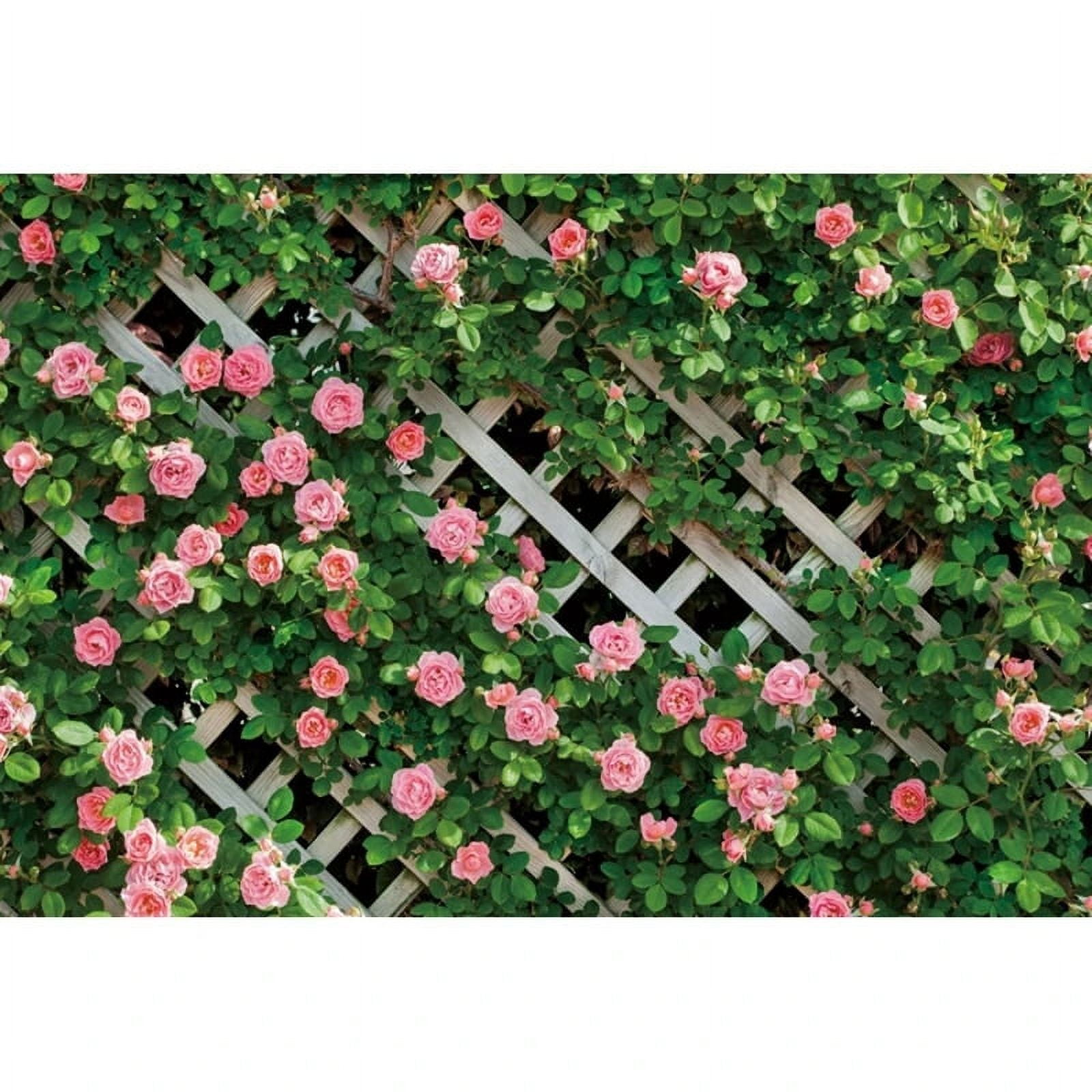 Green Screen Leaves Wedding Photocall Backdrop Tropical Jungle Floral ...