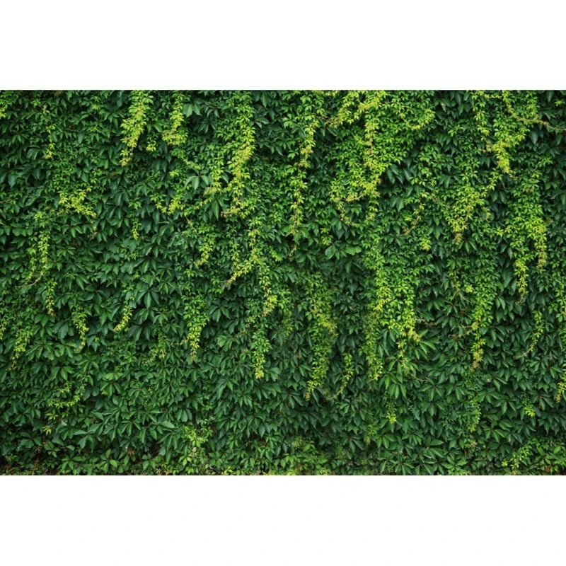 Green Screen Leaves Wedding Photocall Backdrop Tropical Jungle Floral ...