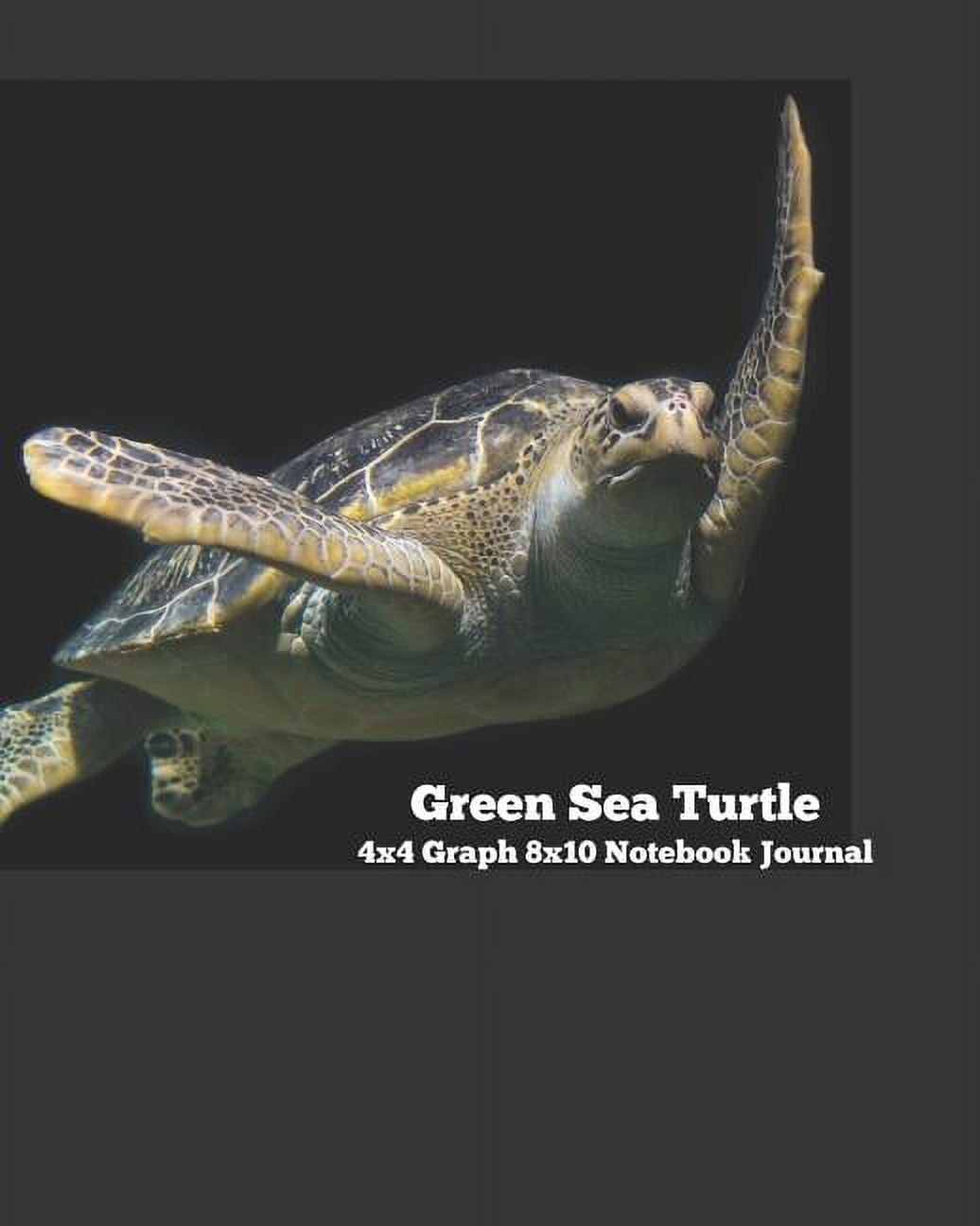 Green Sea Turtle 4x4 Graph 8x10 Notebook Journal - Walmart.com