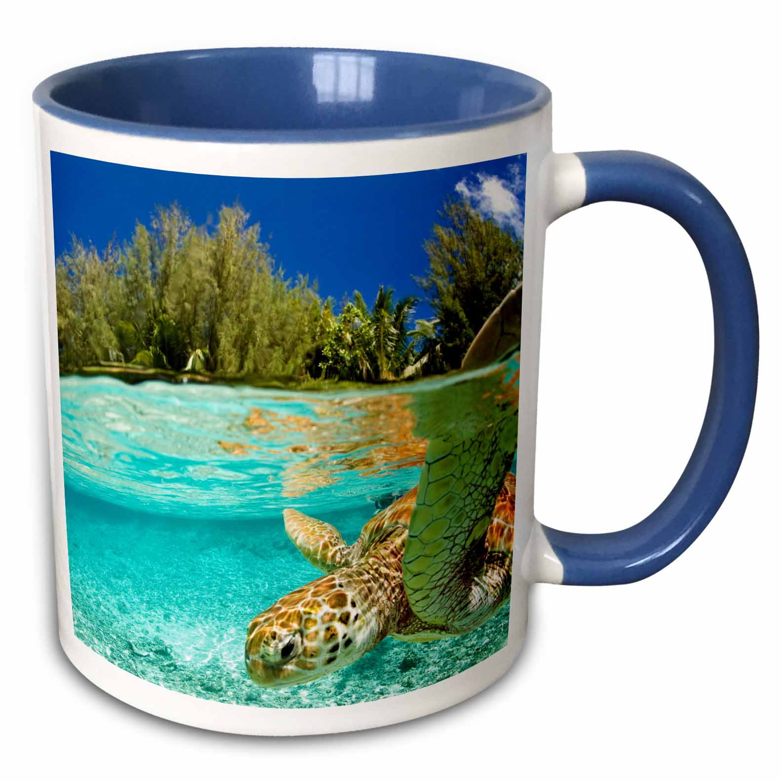 3drose, Green Sea Turtle, Bora Bora, French Polynesia - Oc13 Mwt0255 ...