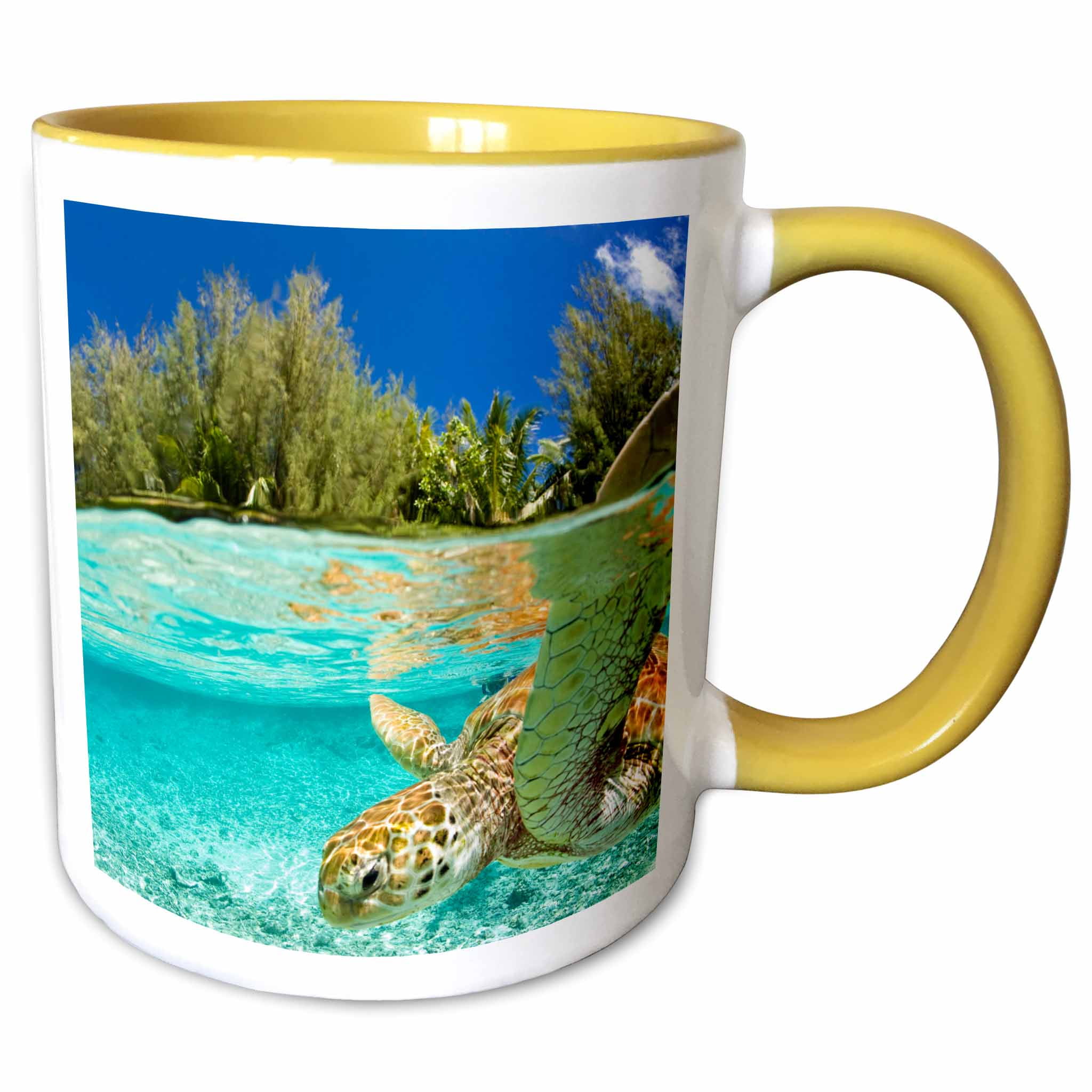 3drose, Green Sea Turtle, Bora Bora, French Polynesia - Oc13 Mwt0255 ...