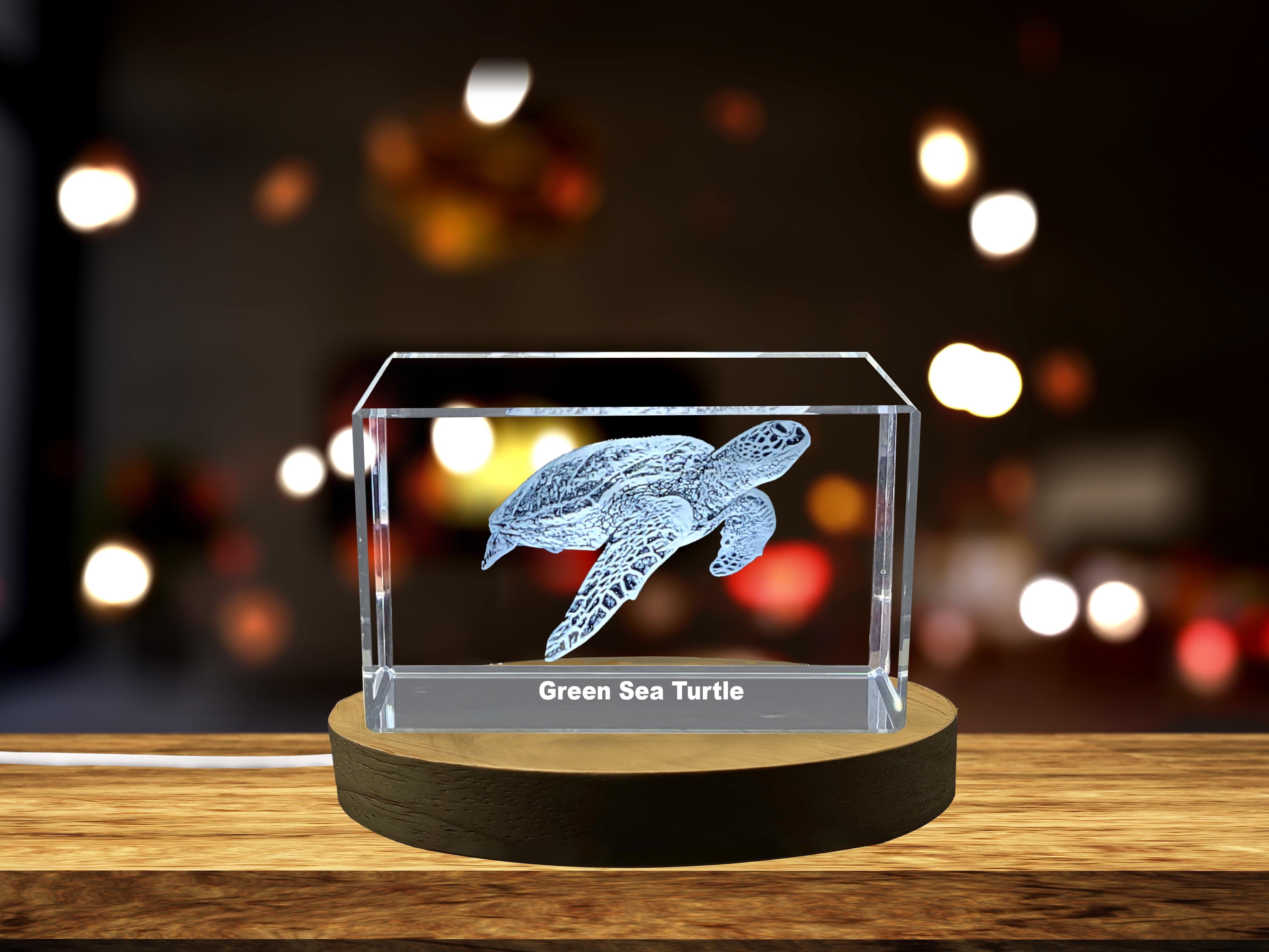 Green Sea Turtle Crystal Engraving - Beautifully Carved Marine Life ...