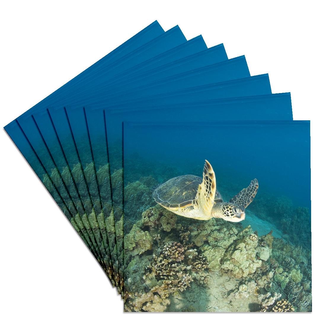 3drose, Green Sea Turtle, Makena Sp, Maui, Hawaii - Us12 Sws0149 ...