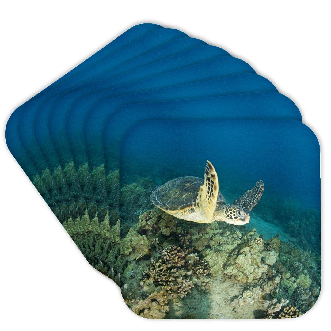 Green Sea Turtle, Makena Sp, Maui, Hawaii - Us12 Sws0149 - Stuart ...