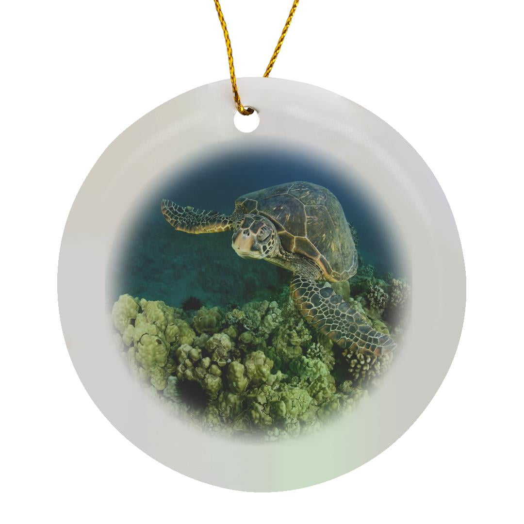 3drose, Green Sea Turtle, Makena Sp, Maui, Hawaii - Us12 Sws0152 ...