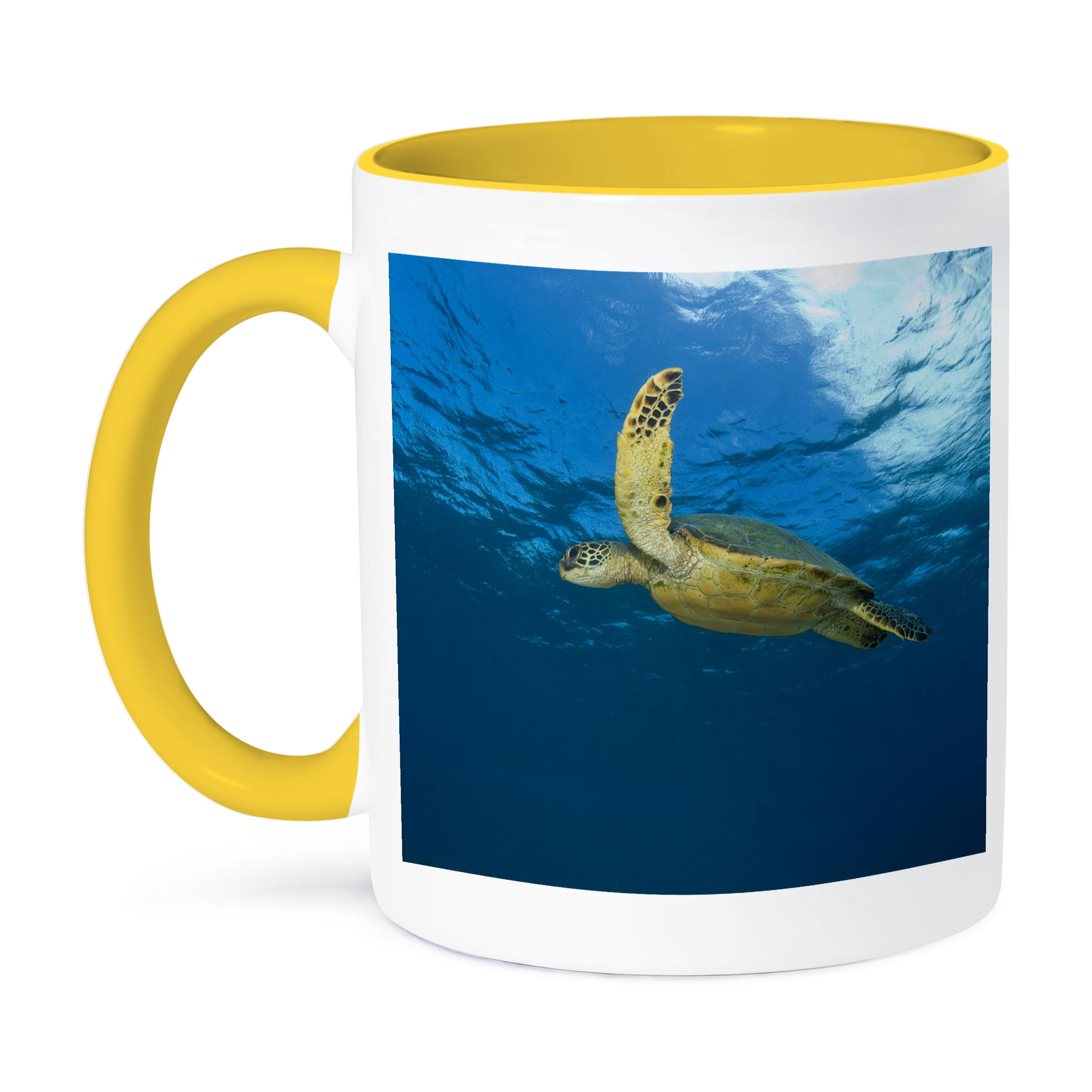 Green Sea Turtle, Makena Sp, Maui, Hawaii - Us12 Sws0154 - Stuart ...