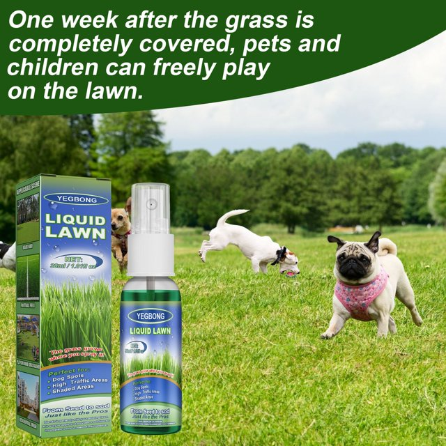 Green Spray Lawn Nutrient Spray, Lawn Growth Concentrate Spray 30ml ...