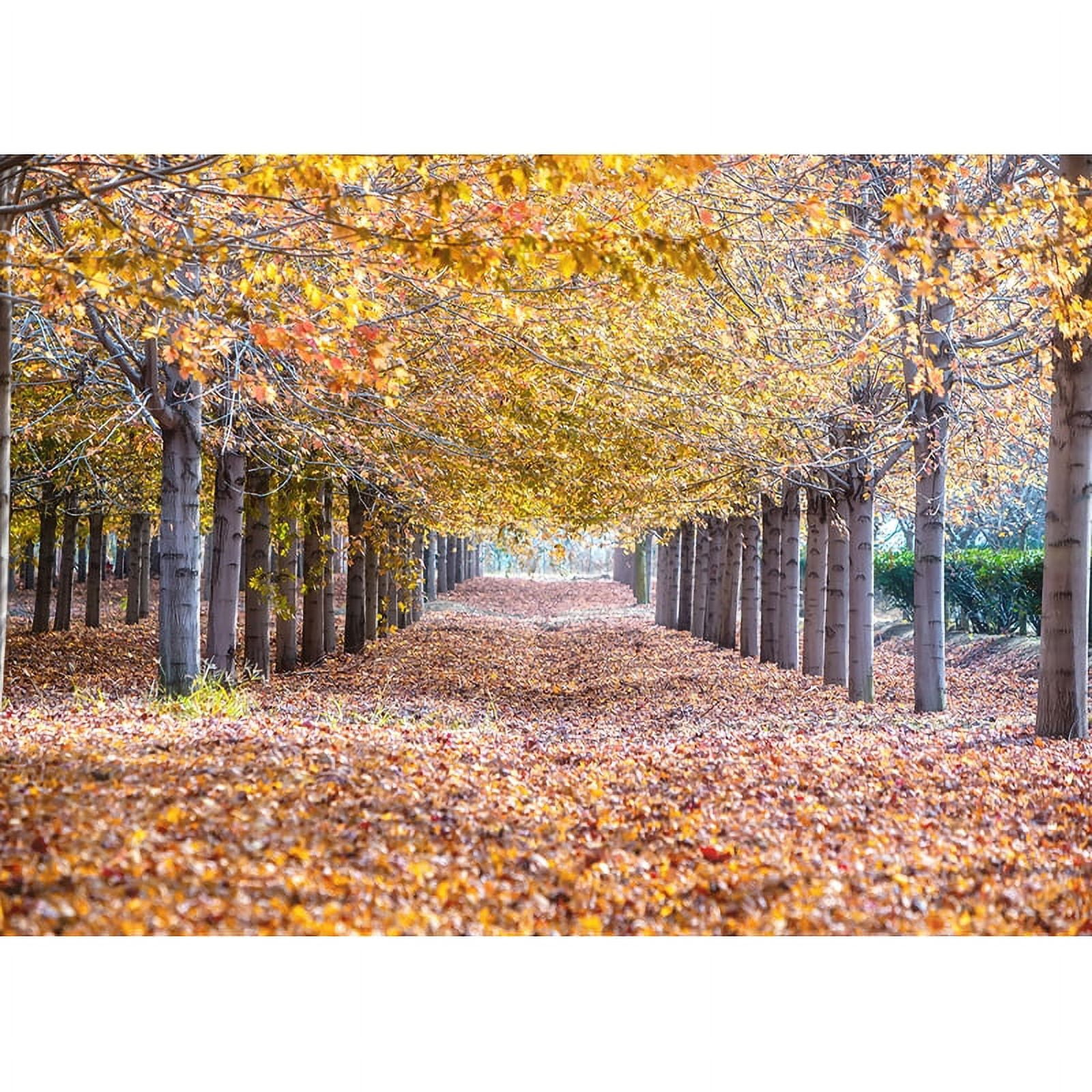 Green Spring Beautiful Scenery Photography Backdrops Props Blue Sky ...