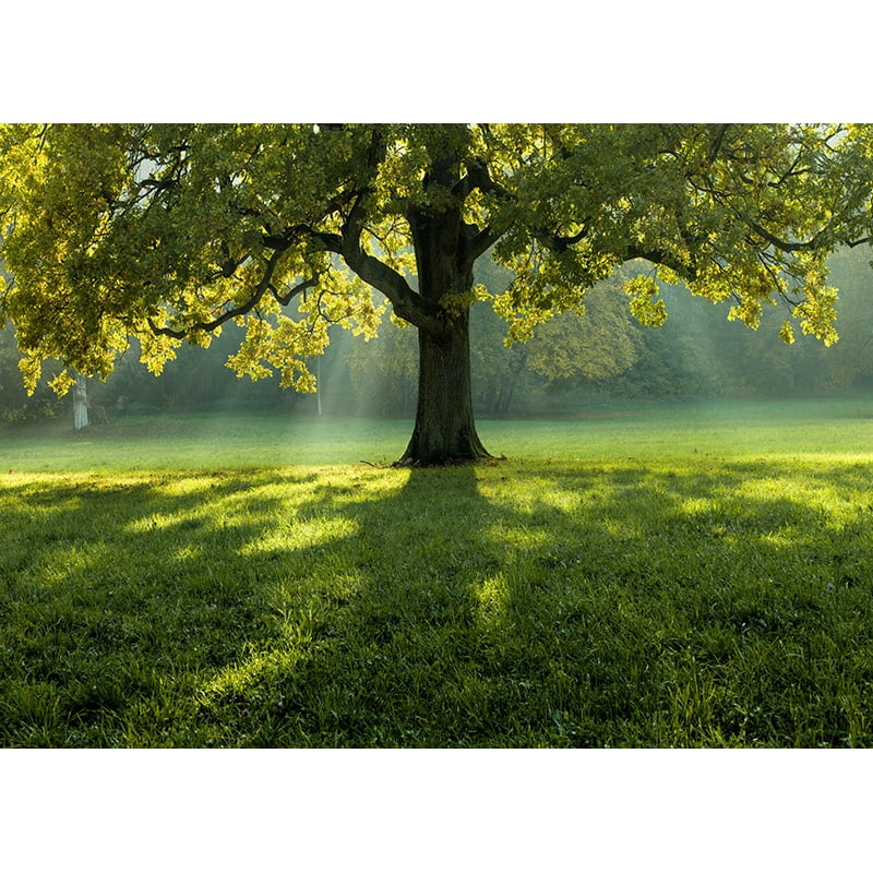 Green Spring Beautiful Scenery Photography Backdrops Props Blue Sky ...