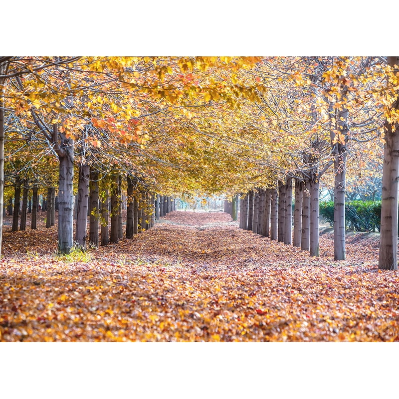 Green Spring Beautiful Scenery Photography Backdrops Props Blue Sky ...