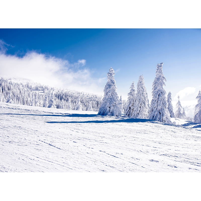 Green Spring Beautiful Scenery Photography Backdrops Props Blue Sky ...