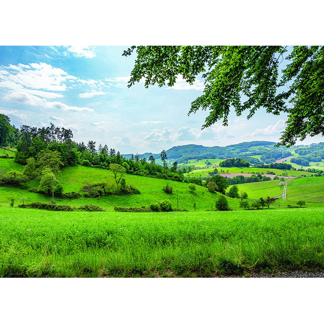 Green Spring Beautiful Scenery Photography Backdrops Props Blue Sky ...