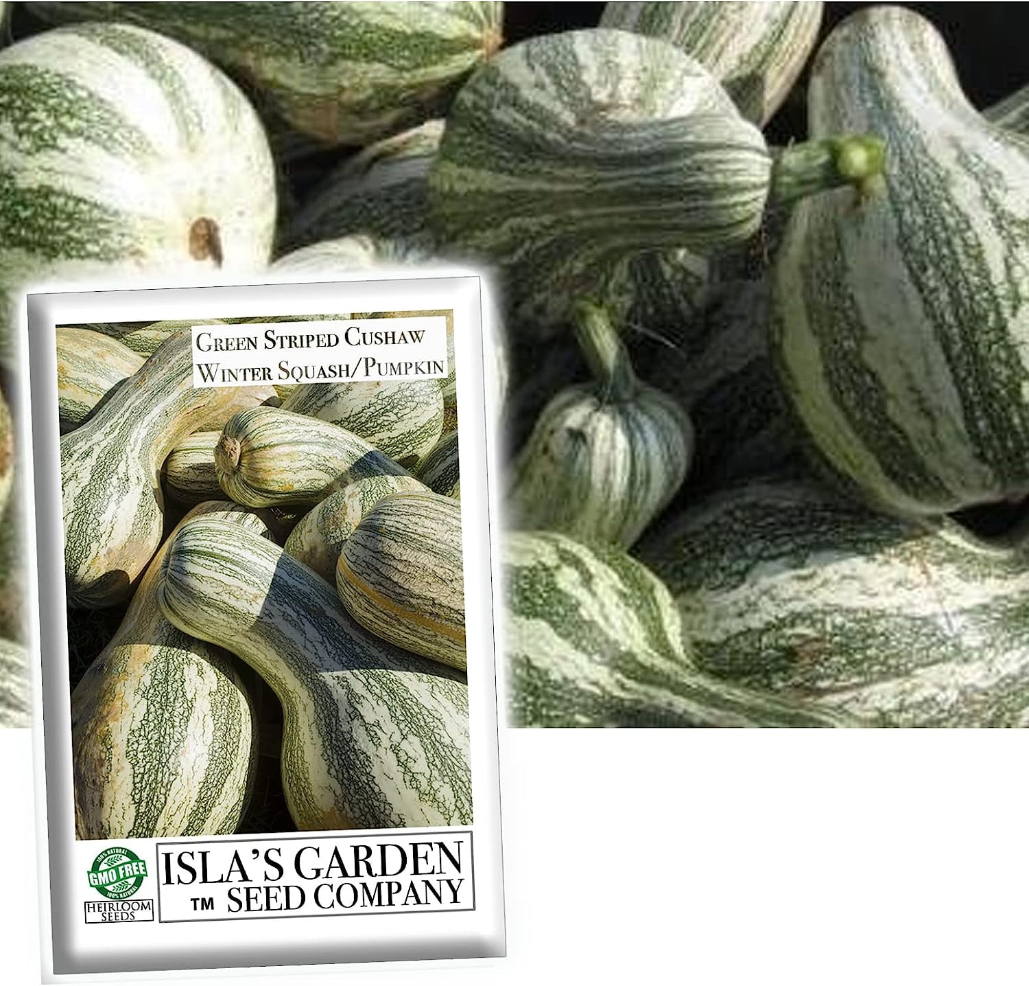 Green Striped Cushaw Seeds for Planting, 25+ Heirloom Seeds Per Packet ...