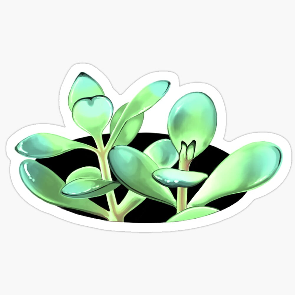Green Succulent Sticker Phone Decal Water Bottle Stickers Car Decals ...