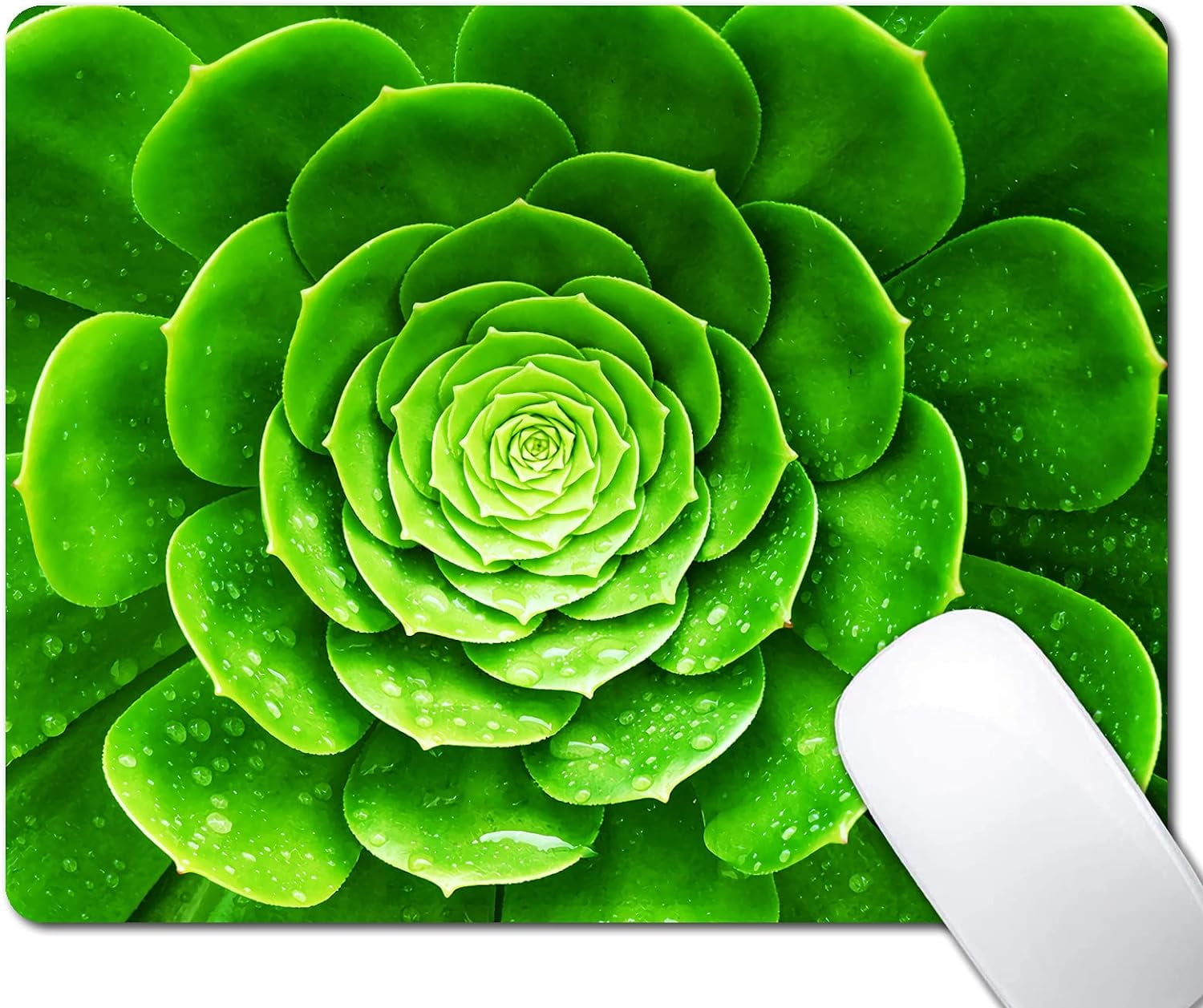 Green Succulents Mouse Pad, Bloom Succulents Mouse Pad for Girls, Anti ...
