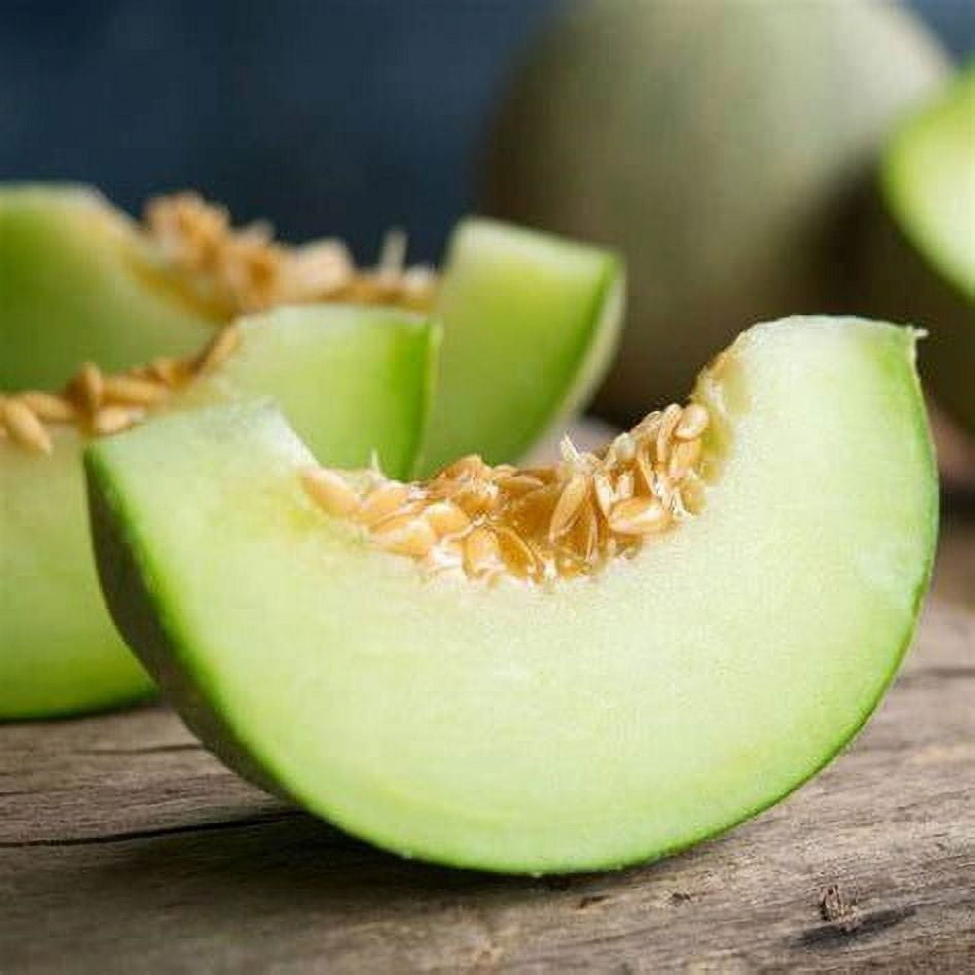 Country Creek LLC Green Sweet Honeydew Melon Seeds, 100-Count, Smooth ...