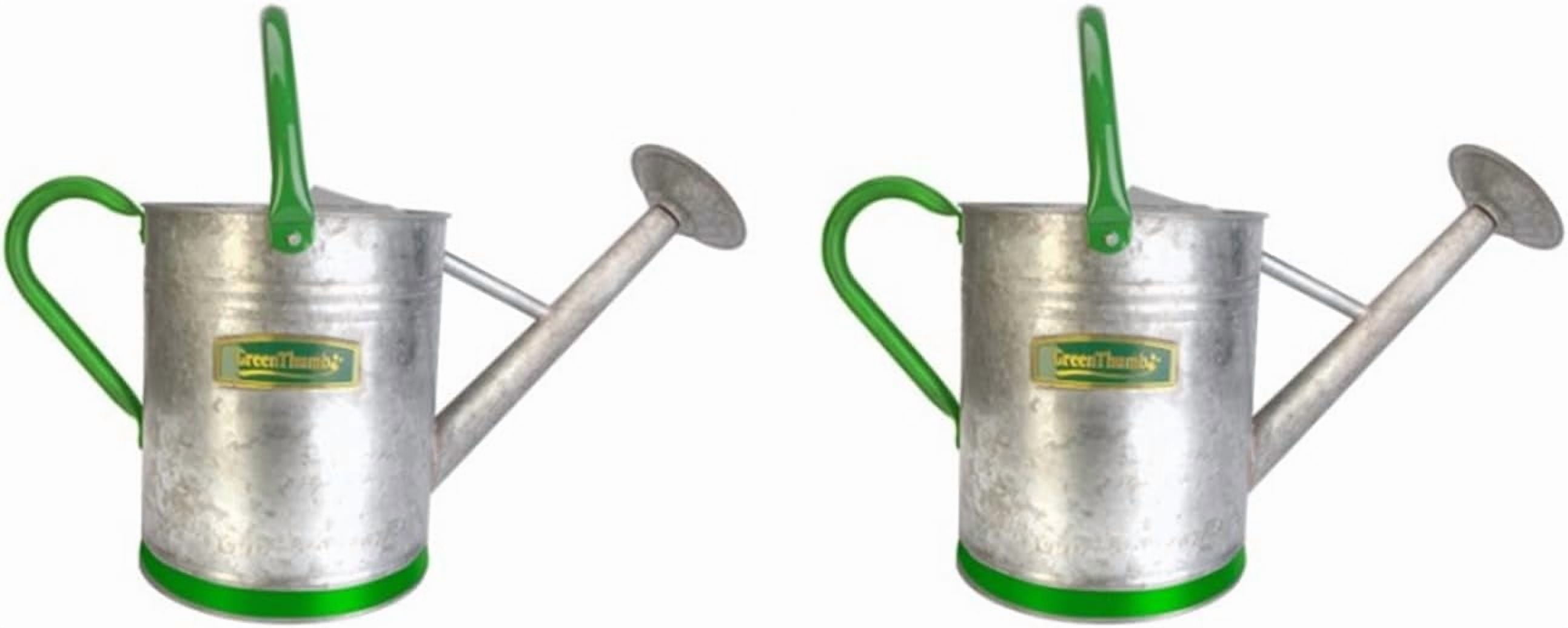 Green Thumb 2 Gallon Vintage Galvanized Metal Watering Can - Pack of (2 ...