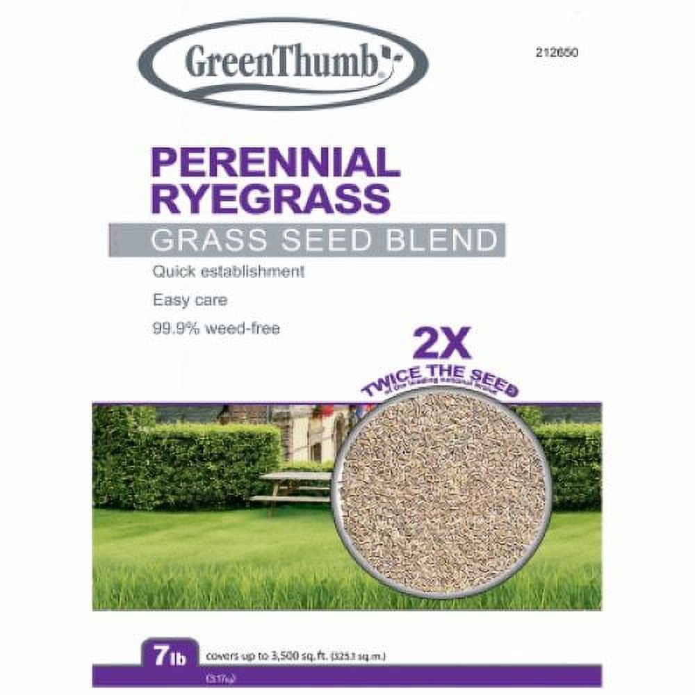 Green Thumb 7 LB Bag Perennial Ryegrass Seed Blend, Weed Free and Ready ...