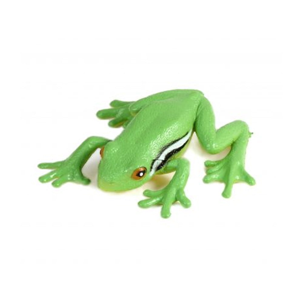 Green Tree Frog Plastic Toy Realistic Rainforest Figure Model Replica ...