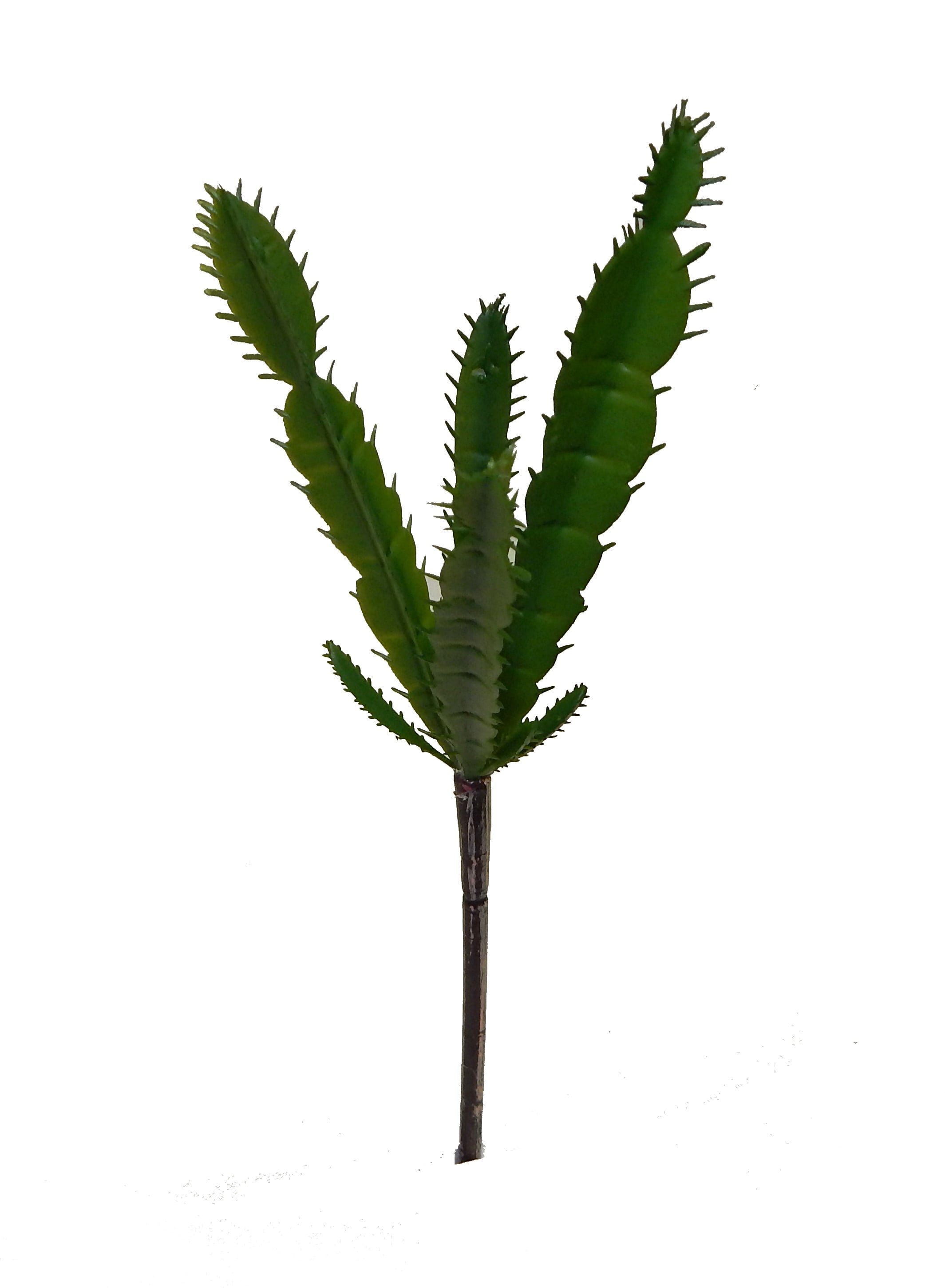 Green Triangle Cactus 11in Artificial Polysilk Faux Greenery Fake ...