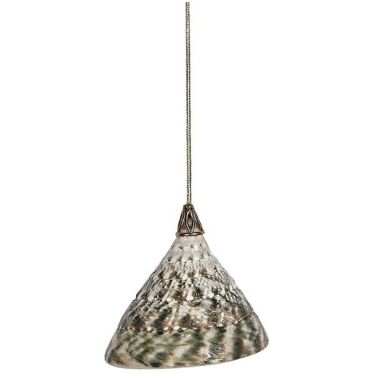 Green Trochus Brass Cap Christmas Tree Ornament 2-3" - Walmart.com