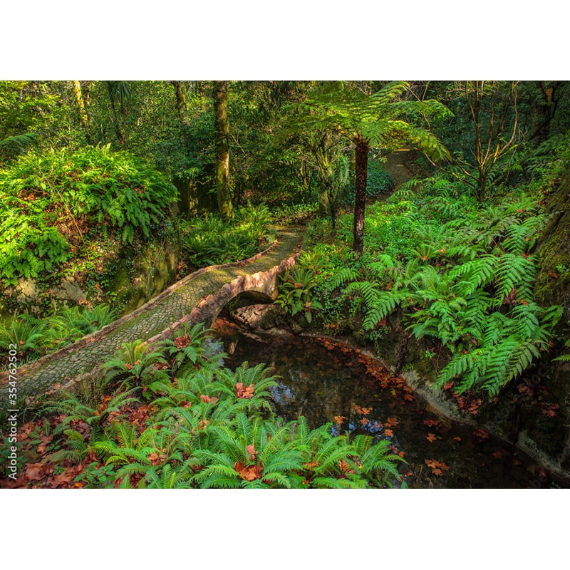 Green Virgin Coniferous Forest Photography Backdrops Props Moss ...