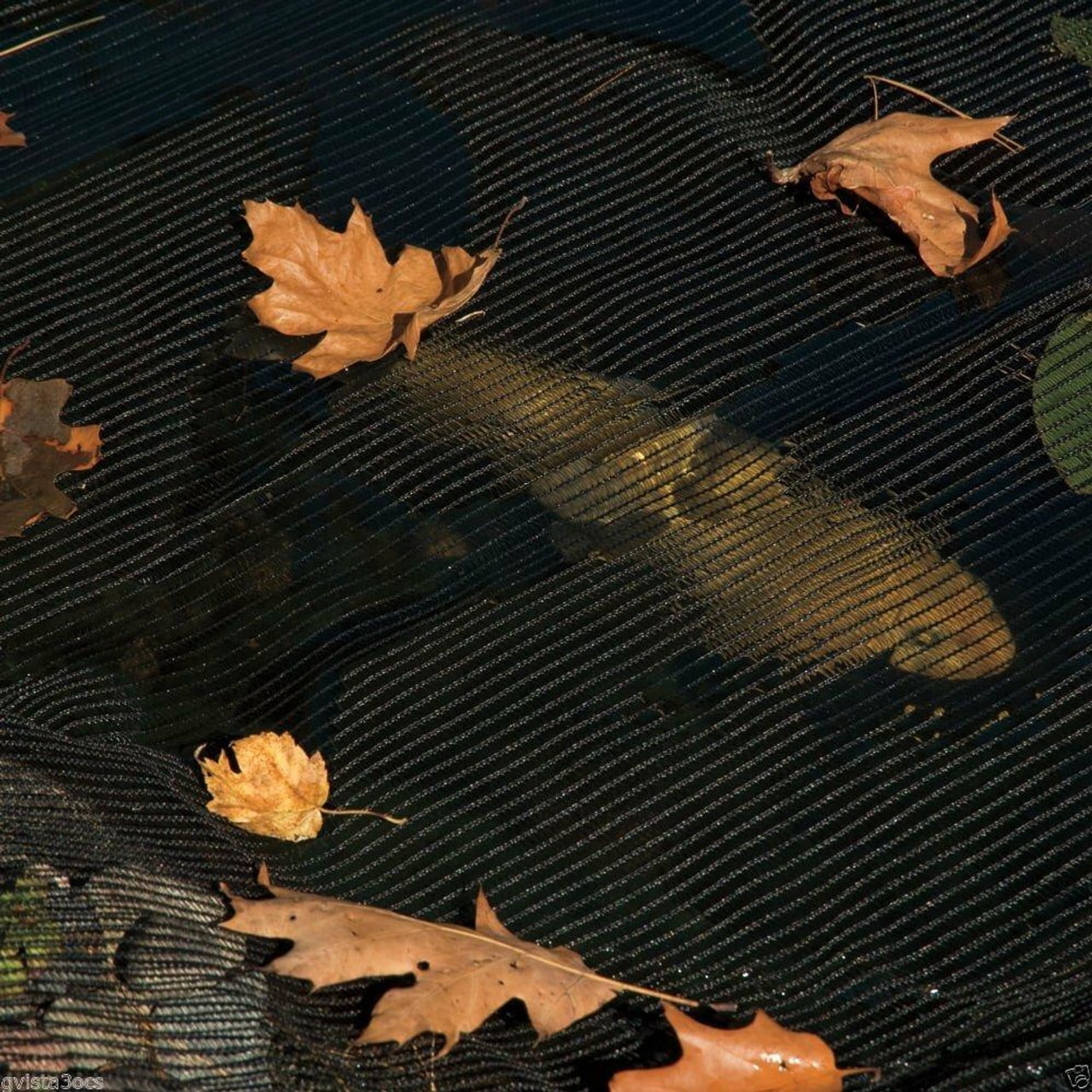 Green Vista 6x10 FEET Multi USE NET/Netting 60% Black Shade Cloth and ...