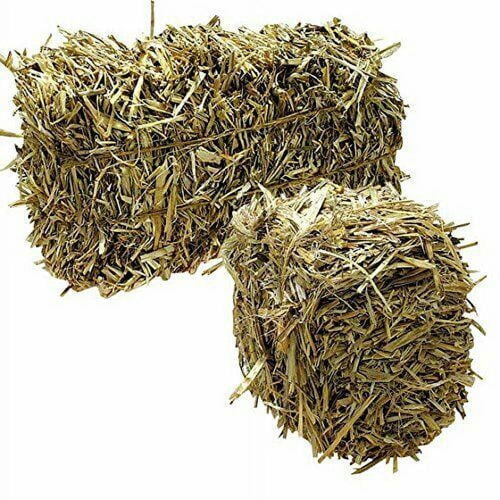 Green Vista Barley Straw Bales 2-2.5lb Pond Lake Algae Control Water ...