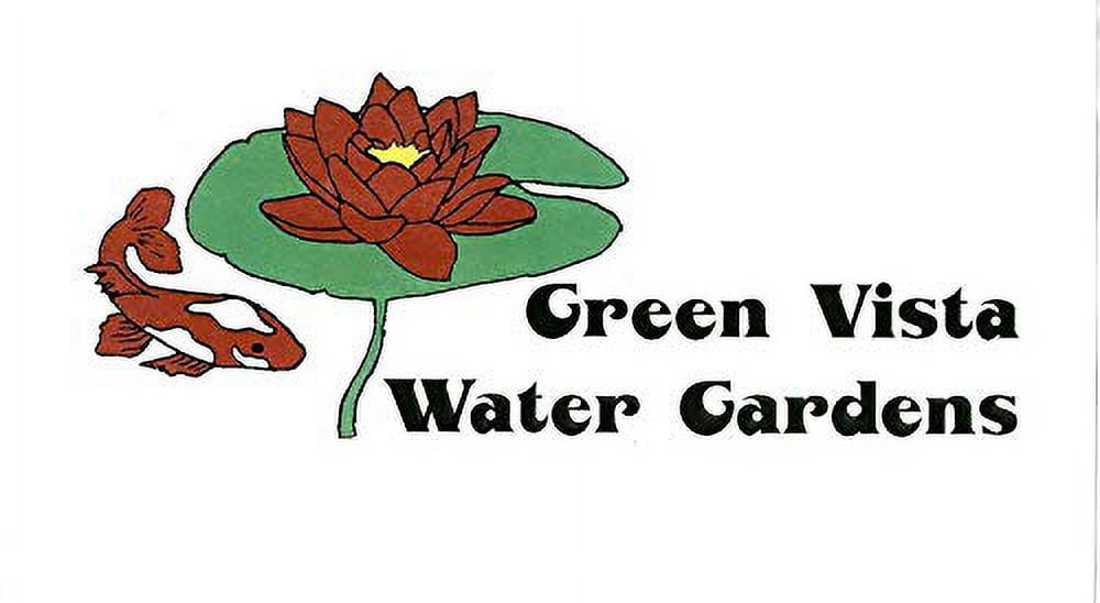 Green Vista Barley Straw Bales for Farm Pond Water Treatment - 24 to 30 ...