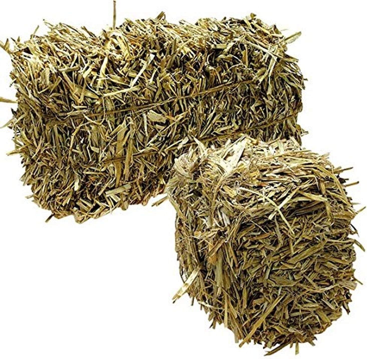Green Vista Barley Straw Bales for Ponds and Waterfalls - 4 to 5 Pounds ...